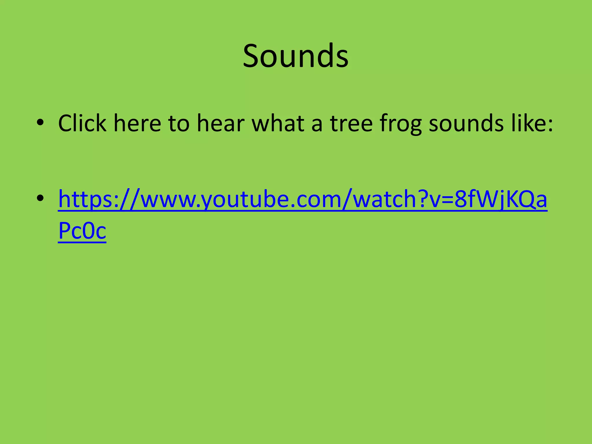 Tree frogs powerpoint | PPT