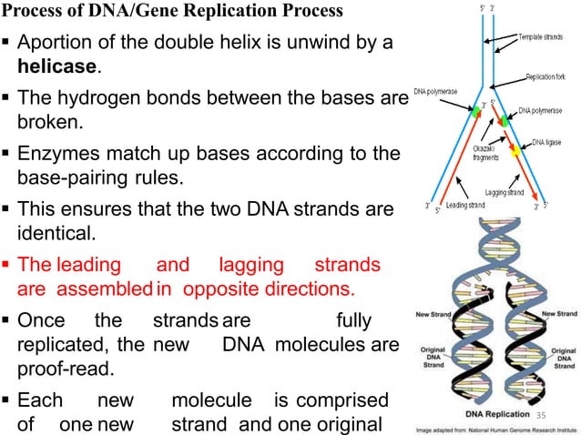 Tree Ganatic And Iprovment Ppt C1 &2.pptx