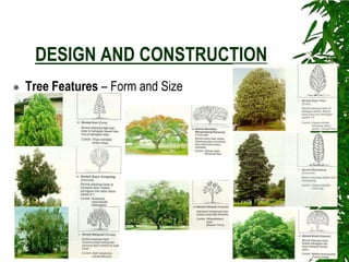 Tree Planting and Management for Golf Courses | PDF