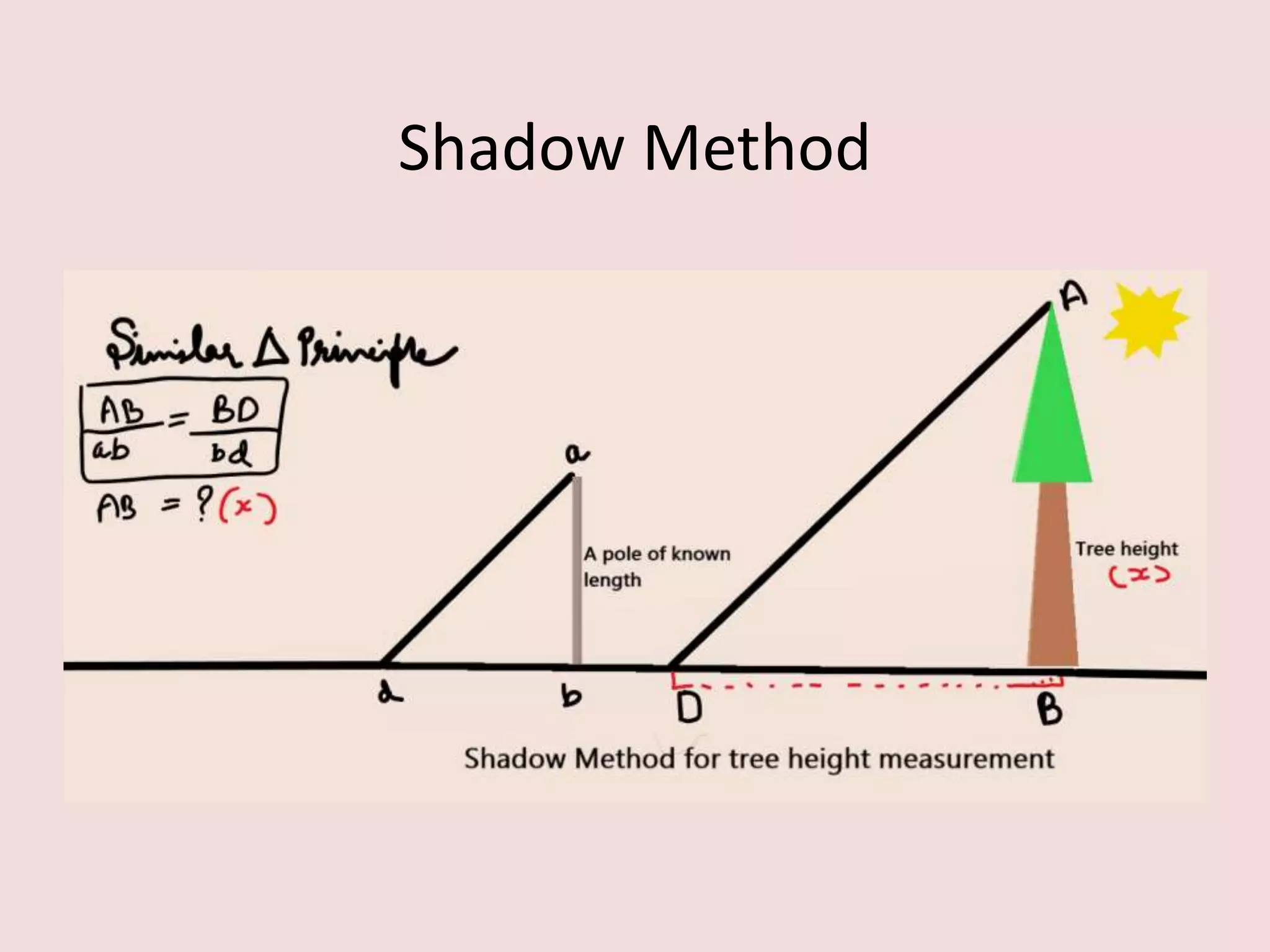 Tree height measurement methods | PPTX