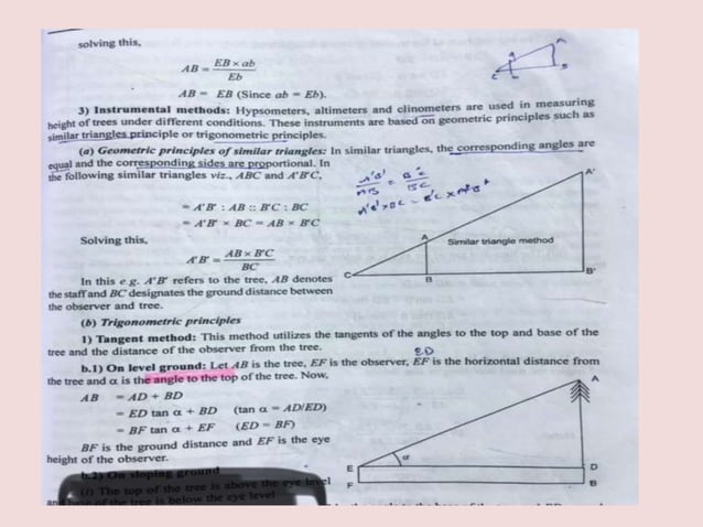 Tree height measurement methods | PPTX