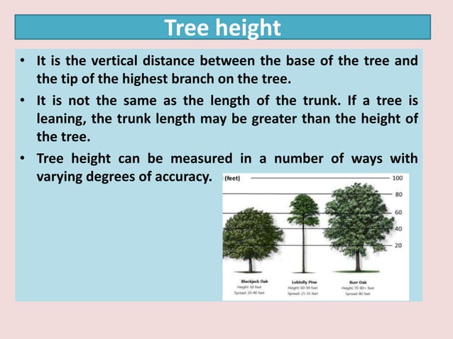Tree height measurement methods | PPTX
