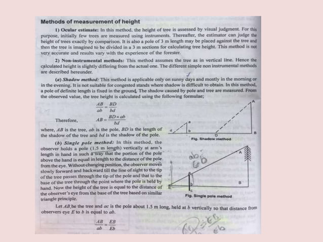Tree height measurement methods | PPTX
