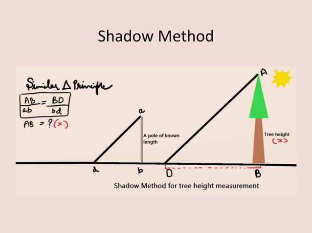 Tree height measurement methods | PPTX