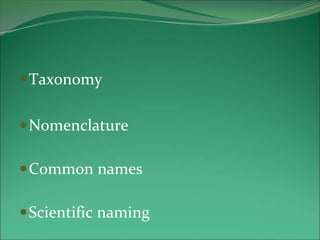 Tree identification | PPTX