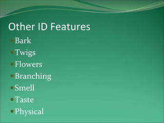 Tree identification | PPTX