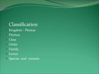 Tree identification | PPTX