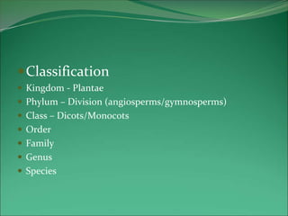 Tree identification | PPTX