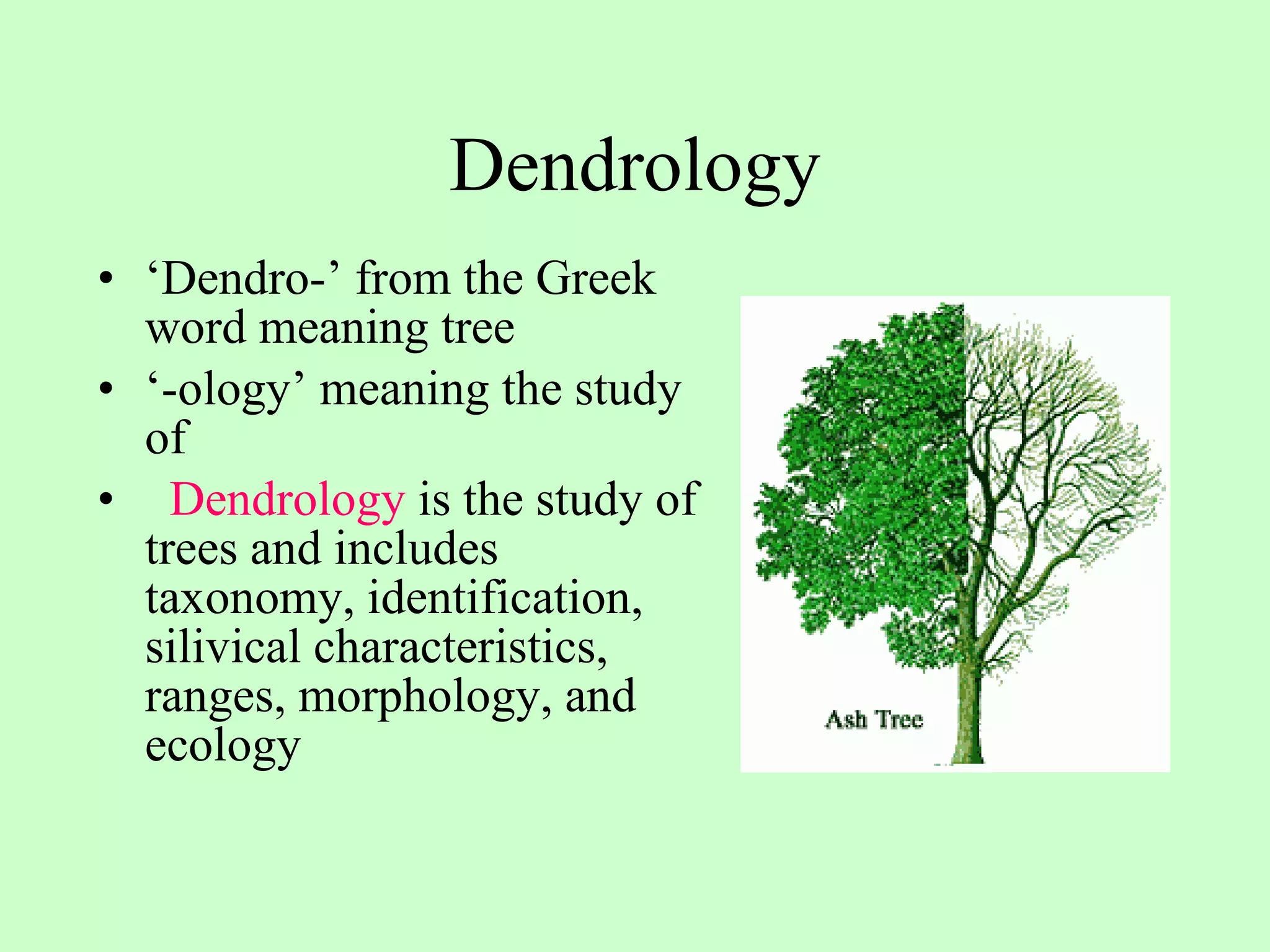 Tree Identification | PPT