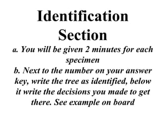 Tree Id Pop Quiz | PPT