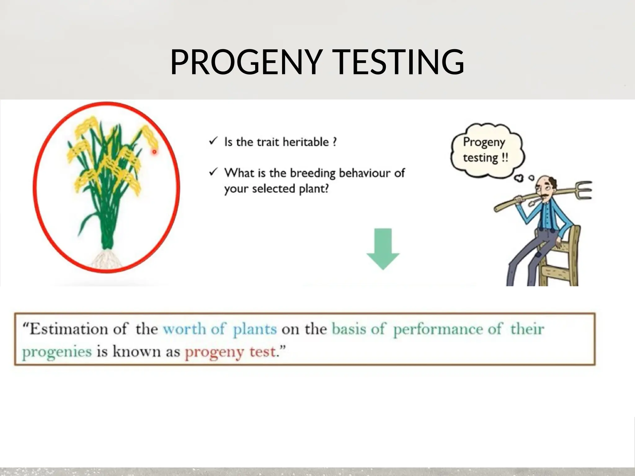 tree improvement in forestry plus tree and elite tree | PPTX