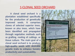 tree improvement in forestry plus tree and elite tree | PPTX