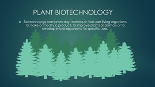 Tree improvement | Techniques & Practices | PDF