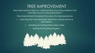 Tree improvement | Techniques & Practices | PDF