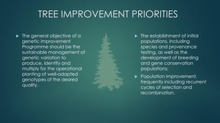 Tree improvement | Techniques & Practices | PDF