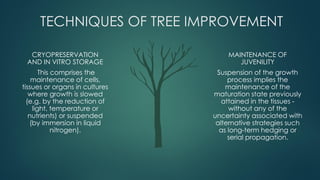 Tree improvement | Techniques & Practices | PDF