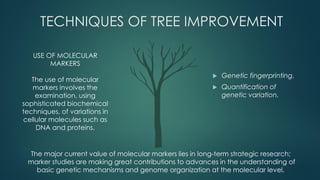 Tree improvement | Techniques & Practices | PDF