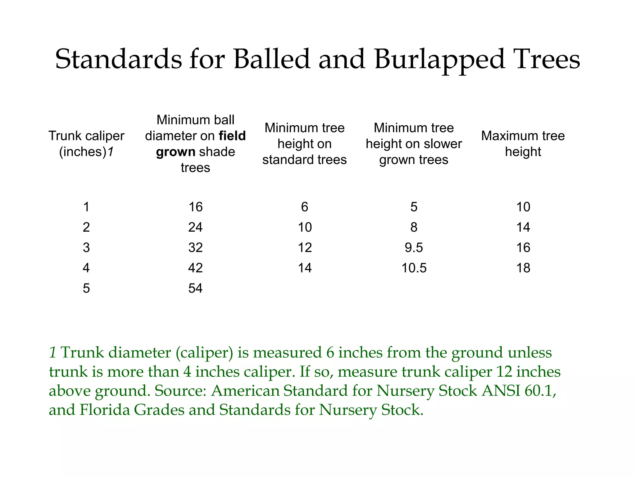 Tree installation and establishment ppt | PPTX