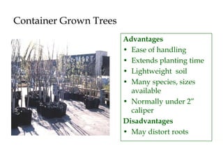 Tree installation and establishment ppt | PPTX