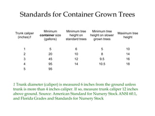 Tree installation and establishment ppt | PPTX