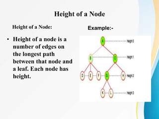 Tree Introduction.pptx
