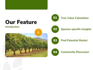 Tree value calculater Tree value calculater app Safeda tree value Tree ...