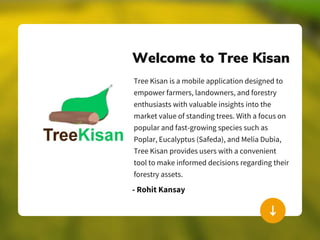 safeda tree price in india safeda tree price in india | PPT