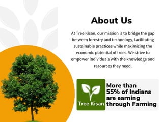 safeda tree price in india safeda tree price in india | PPT