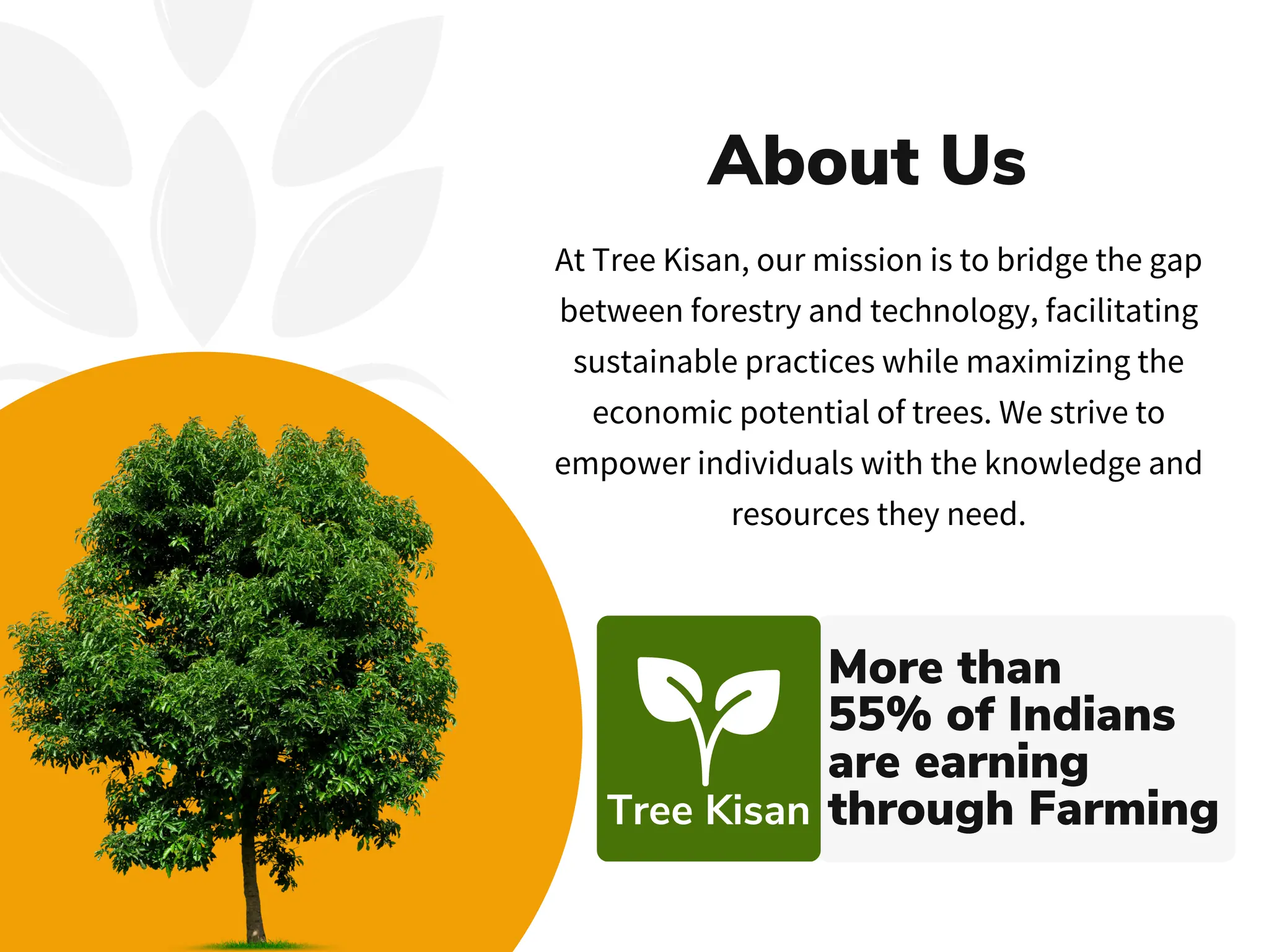 Tree value calculater Tree value calculater app Safeda tree value Tree Kisan poplar tree pric | PPT