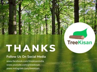 Tree value calculater Tree value calculater app Safeda tree value Tree Kisan poplar tree pric | PPT