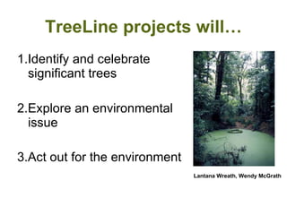 Tree Line Education Introduction Ppt | PPT | Arts and Crafts | Hobbies ...