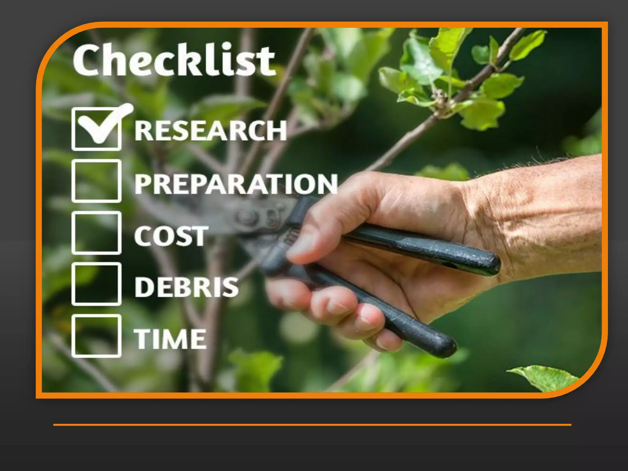 Tree lopping checklist by treezy tree services | PDF | Landscaping ...