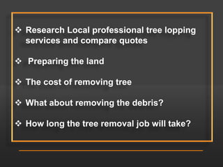 Tree lopping checklist by treezy tree services | PDF | Landscaping ...