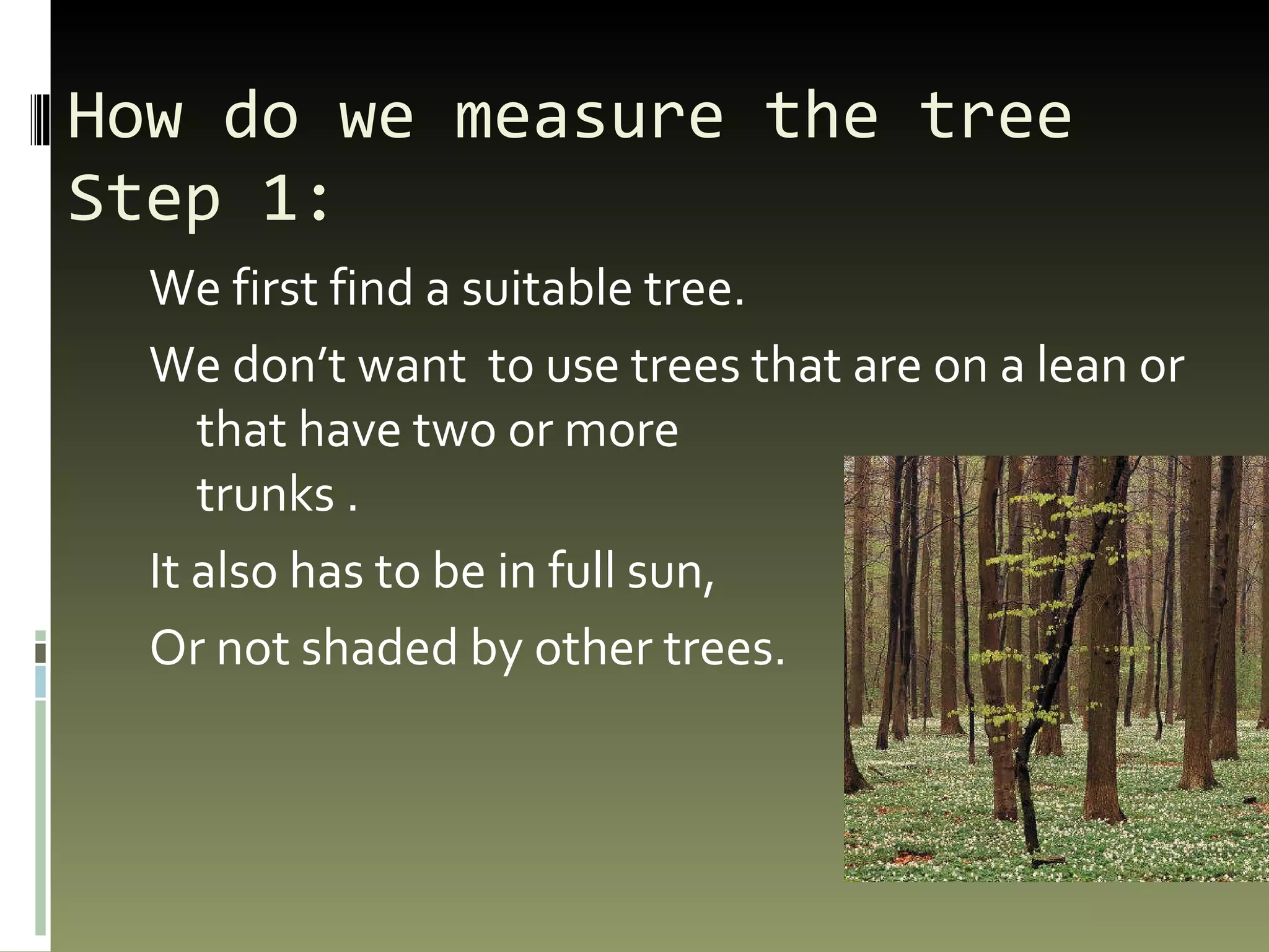 Tree Measuring | PPT