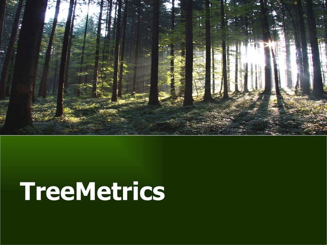 Tree Metrics Ppt