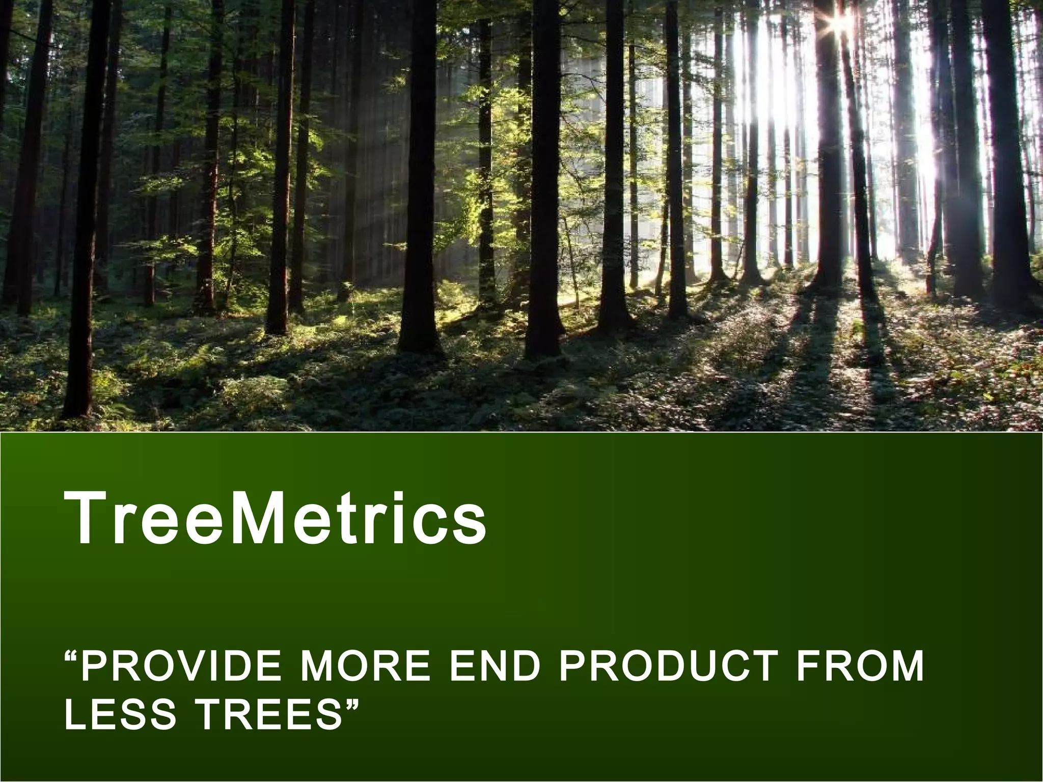 Treemetrics introduction slope | PPT