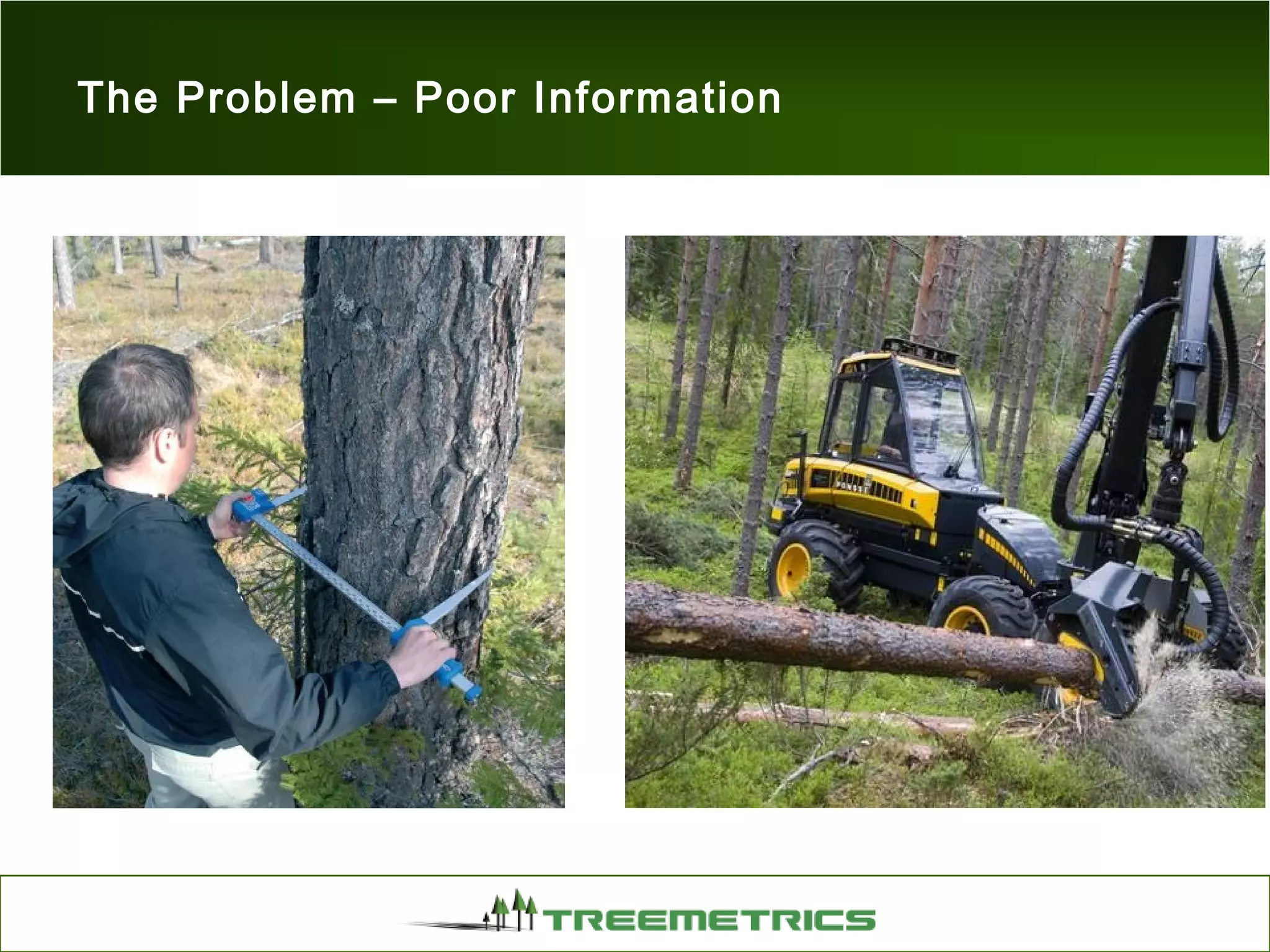 Treemetrics introduction slope | PPT