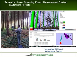 Treemetrics introduction slope | PPT