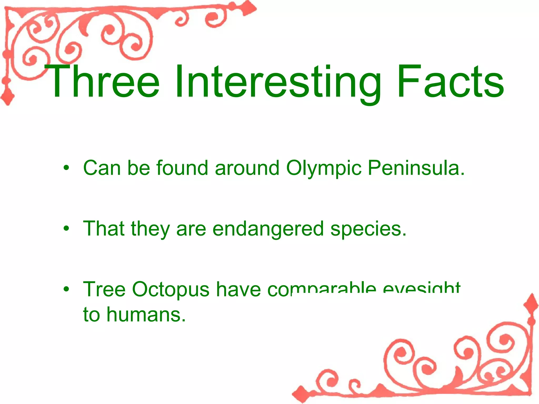 Tree Octopus | PPT