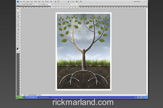 Tree of life slideshow | PDF
