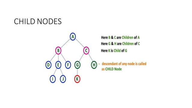 tree Data Structures in python Traversals.pptx
