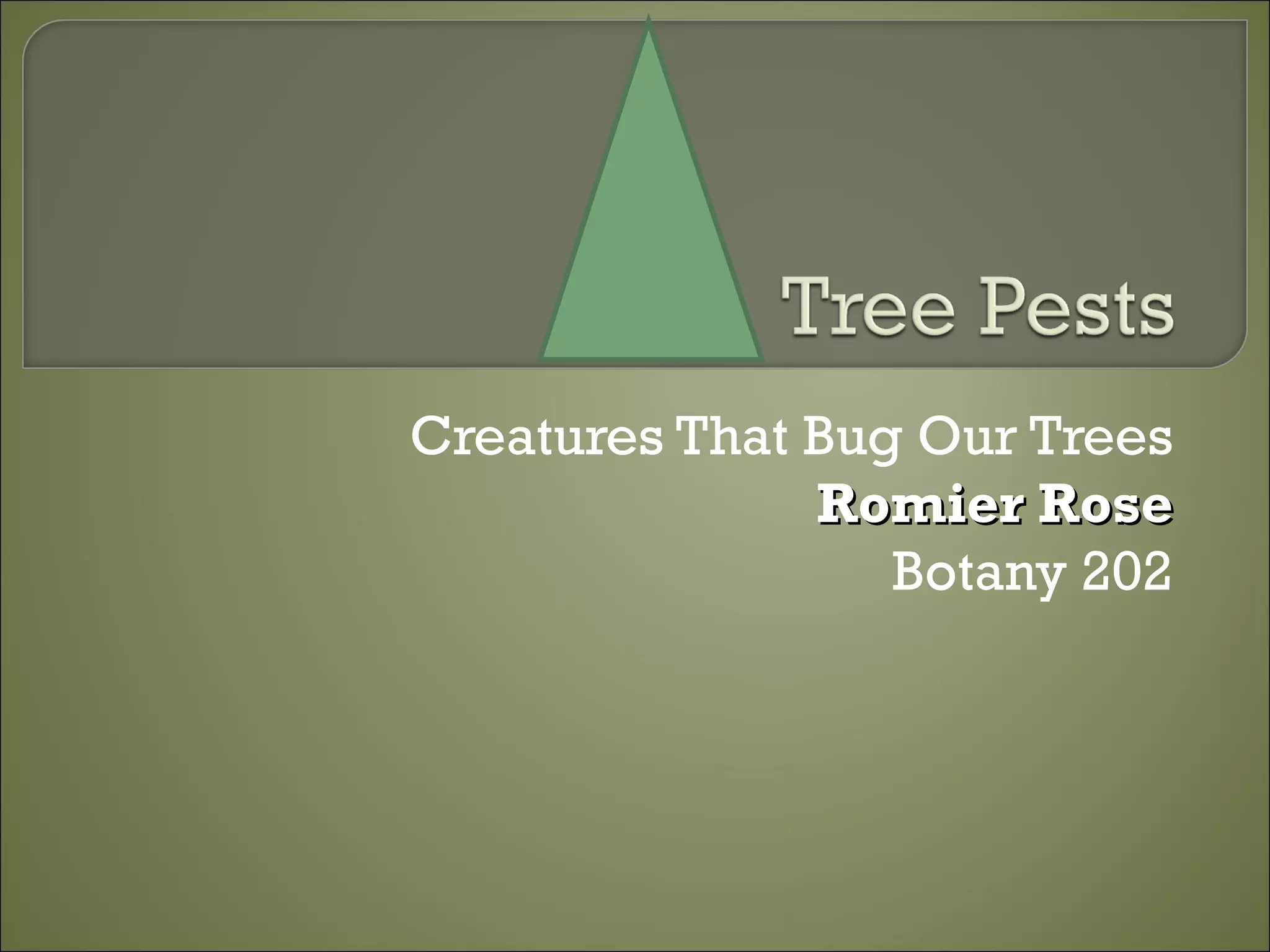 Tree Pests | PPT