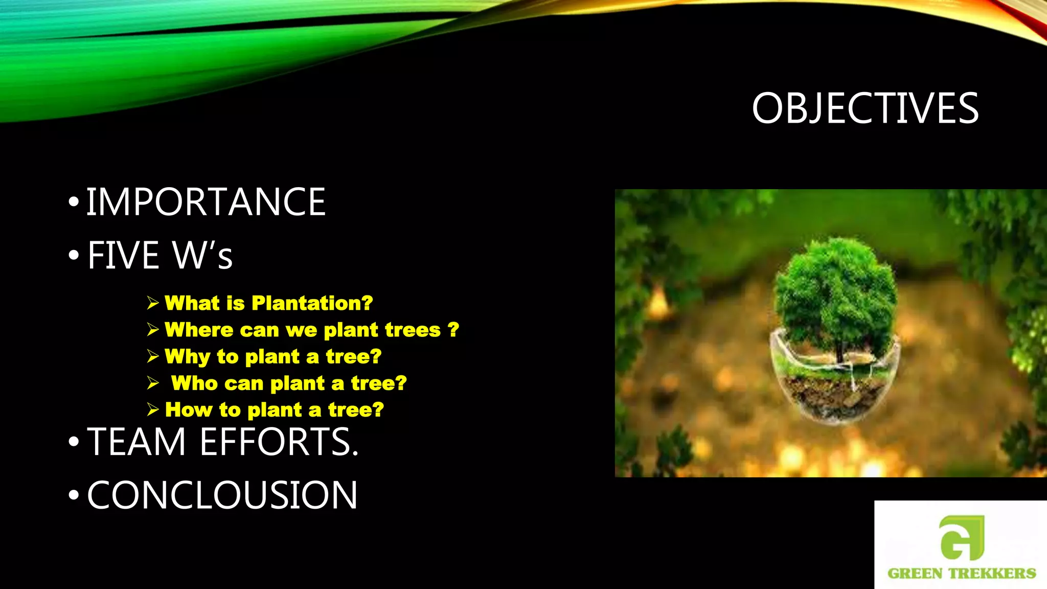 Tree plantation | PPTX
