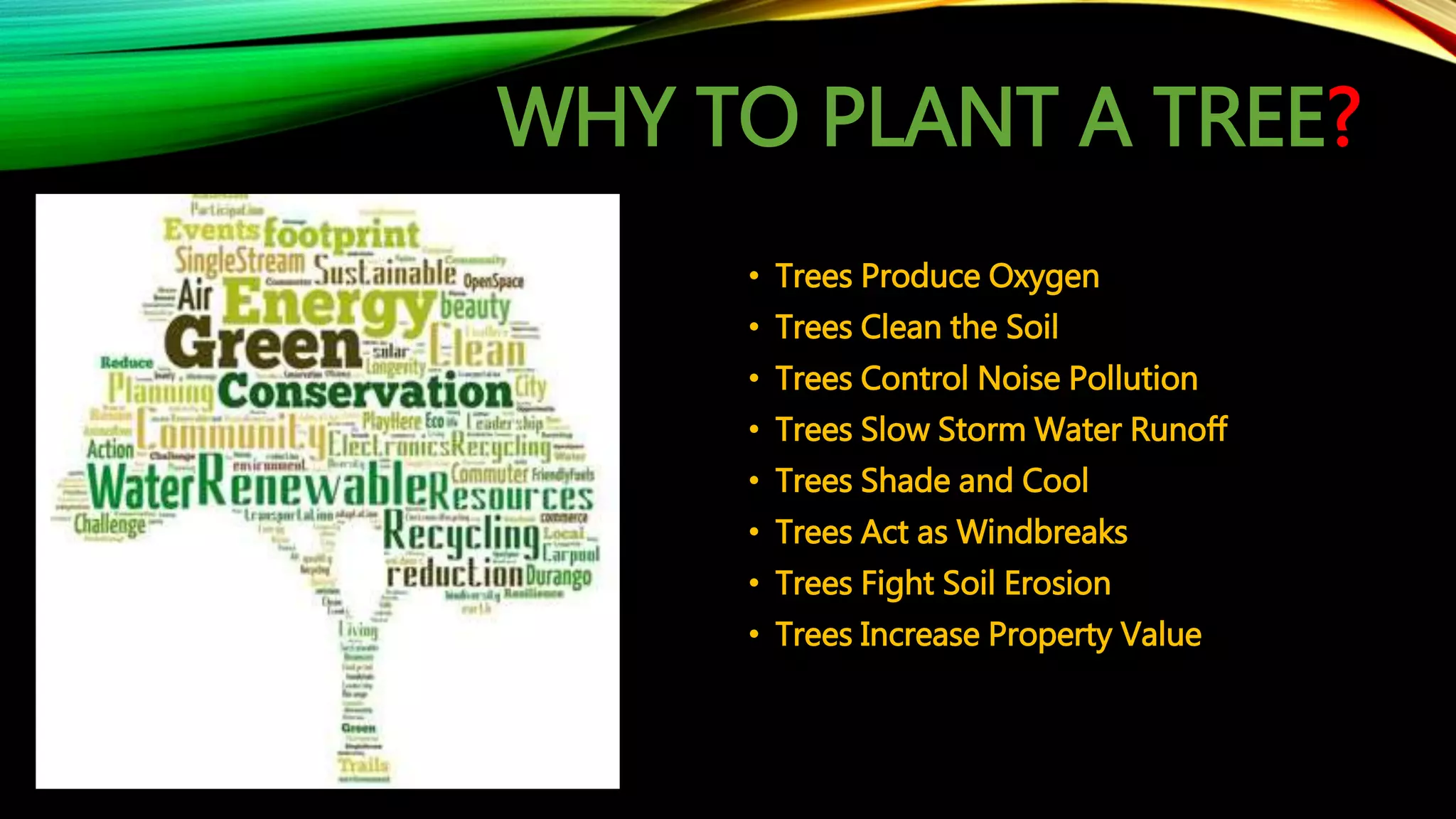 Tree plantation | PPTX