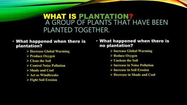 Tree plantation | PPTX