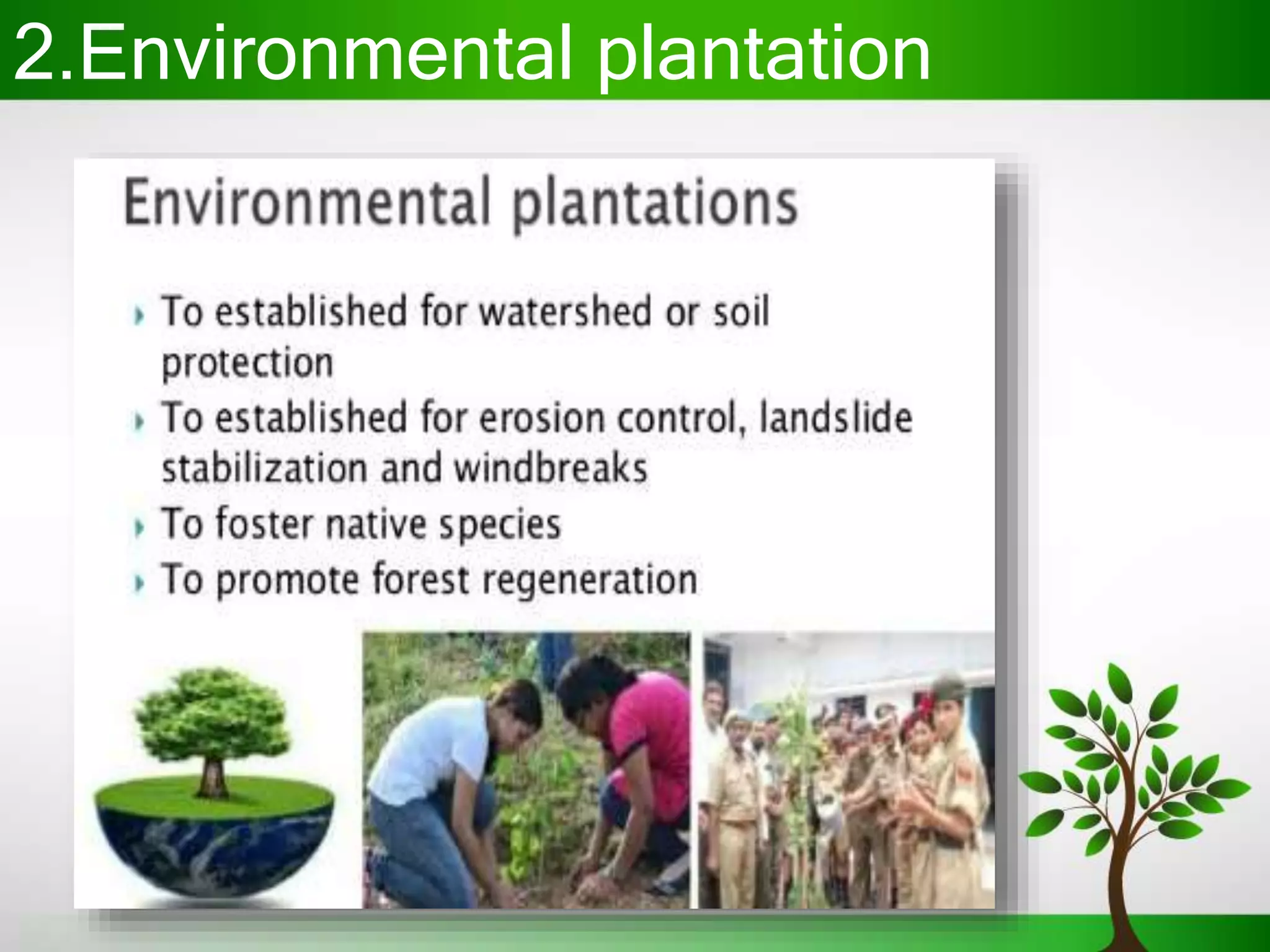 Tree plantation | PPTX