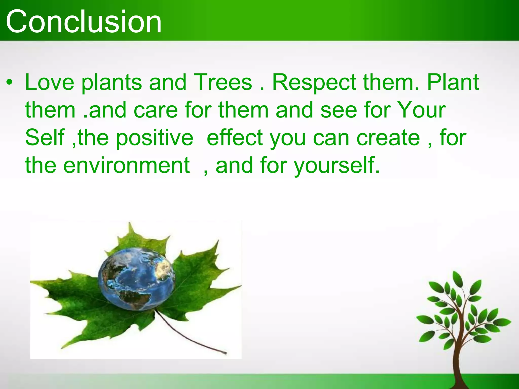 Tree plantation | PPTX