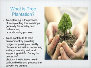 Benefits ofTree plantation | PPTX