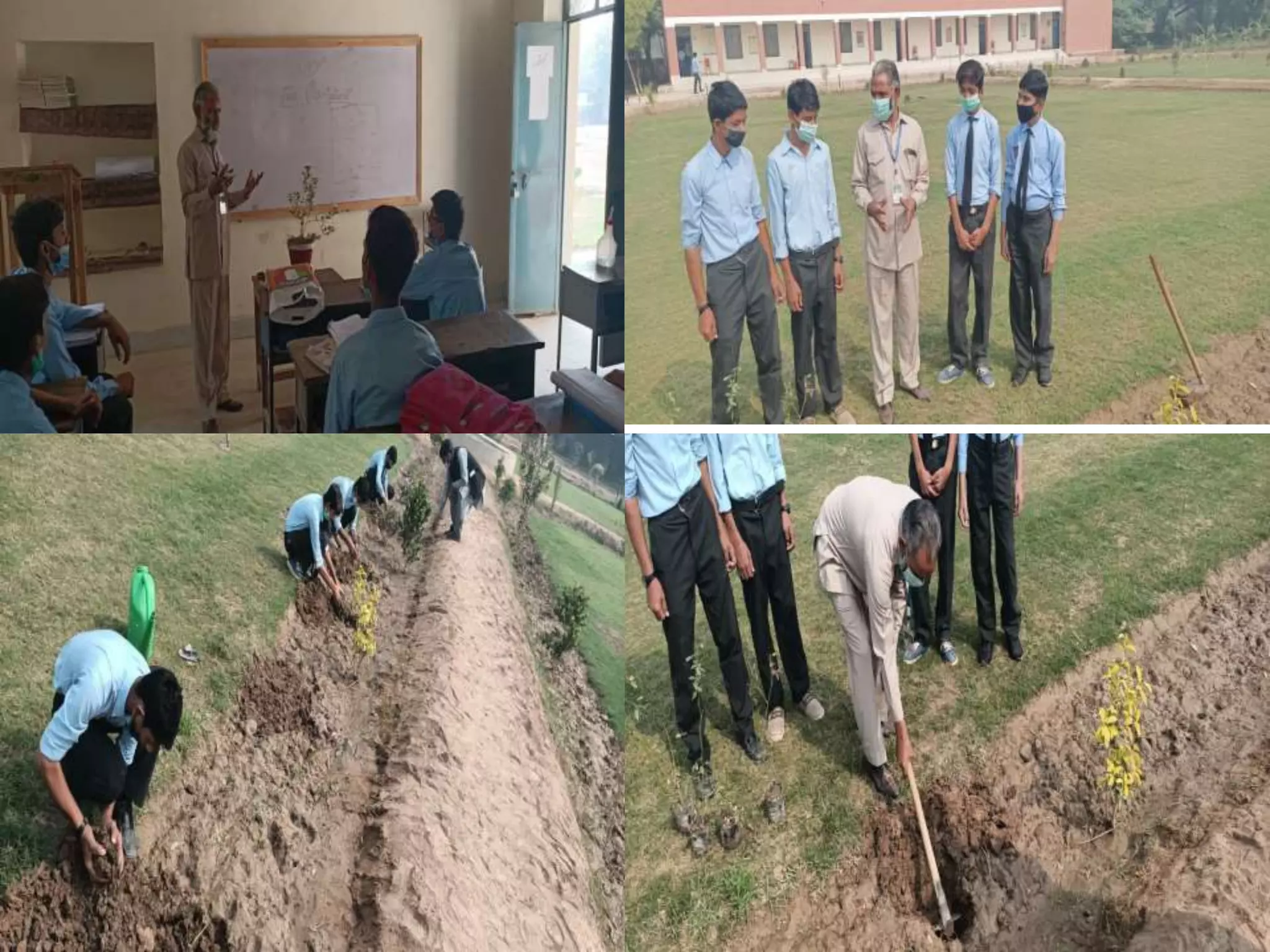 TREE PLANTATION CAMPAIGN.pptx