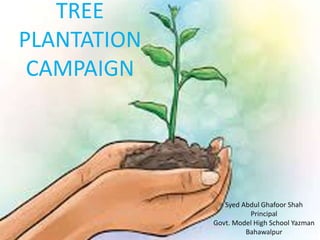 TREE PLANTATION CAMPAIGN.pptx